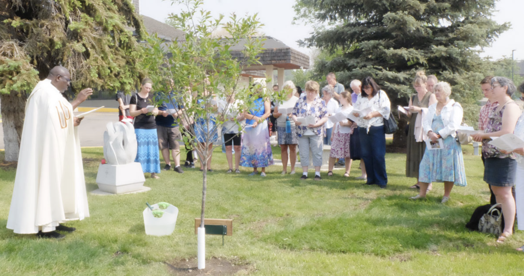 Jubilee Tree of Hope offers sacred place to pray, grieve and remember ...